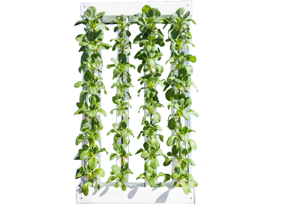 4-Tower ZipGrow™ Farm Wall (5ft / 1.5m height) – UPGROWN FARMING CO.